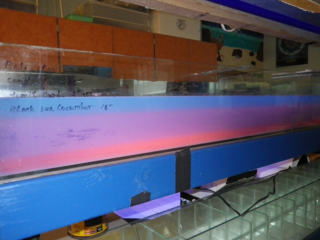 Newsletter – Spring 2012 | MARE